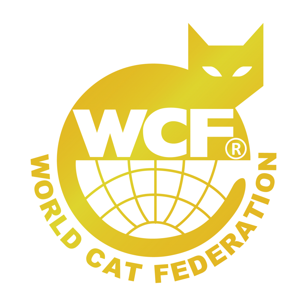 Gatil León – CRIANDO GATOS BENGAL COM AMOR E RESPEITO